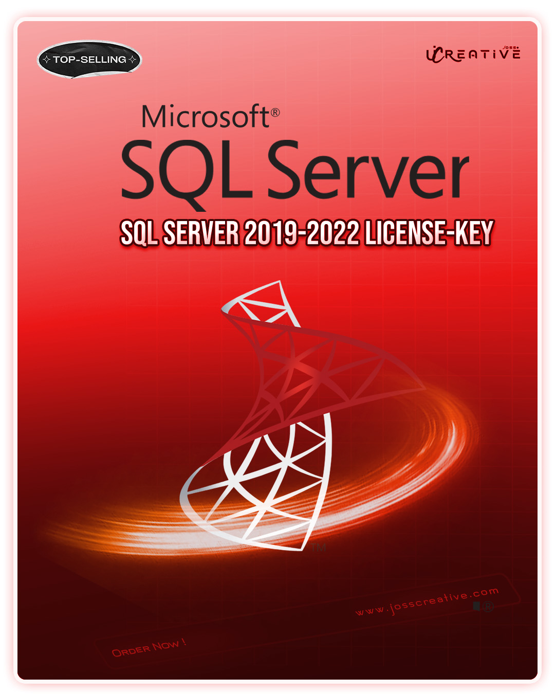 Microsoft SQL Server Standard License Key